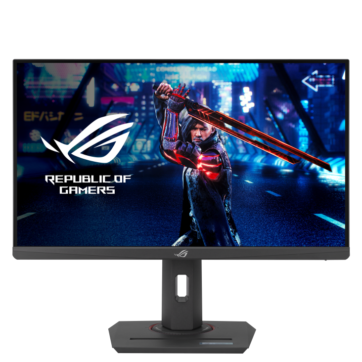 ASUS ROG Strix XG259QNS 25 inch Full HD 380Hz IPS Gaming Monitor ...